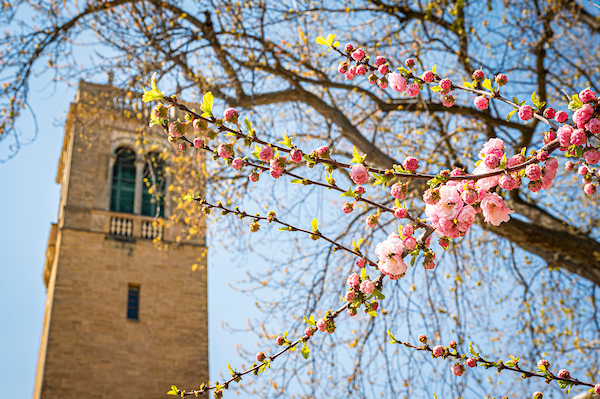 Campus COVID update: Looking ahead to spring semester – Parent and ...